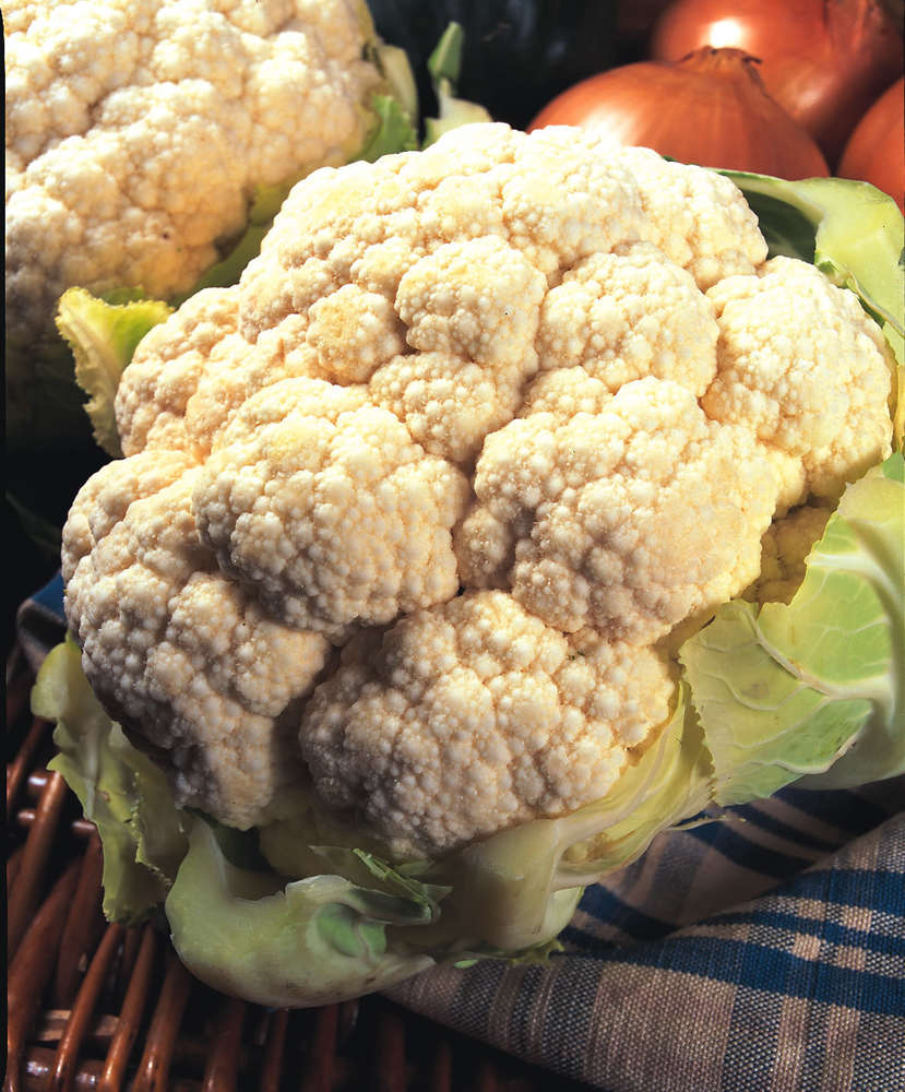 Cauliflower All Year Round – MoreVeg Seeds