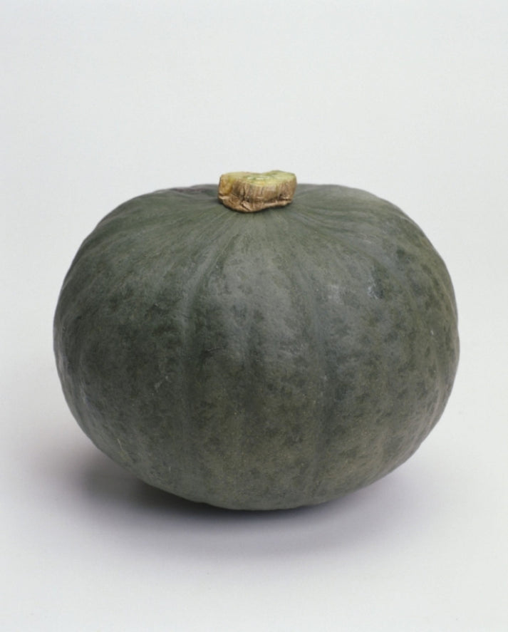 Squash Blue Kuri – MoreVeg Seeds